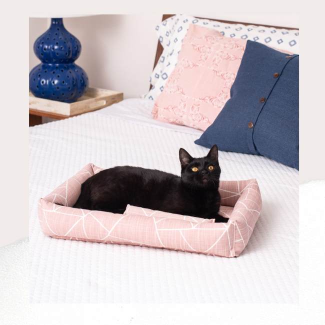 Cats (& Their People) Can’t Resist This Bolster Cat Bed. Here’s Why ...