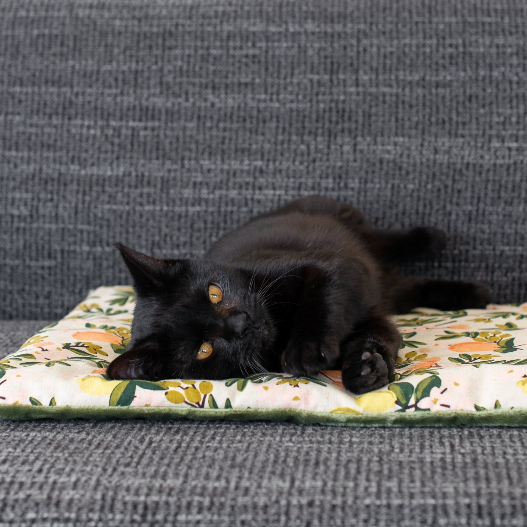 The Catnip Mat – Janery