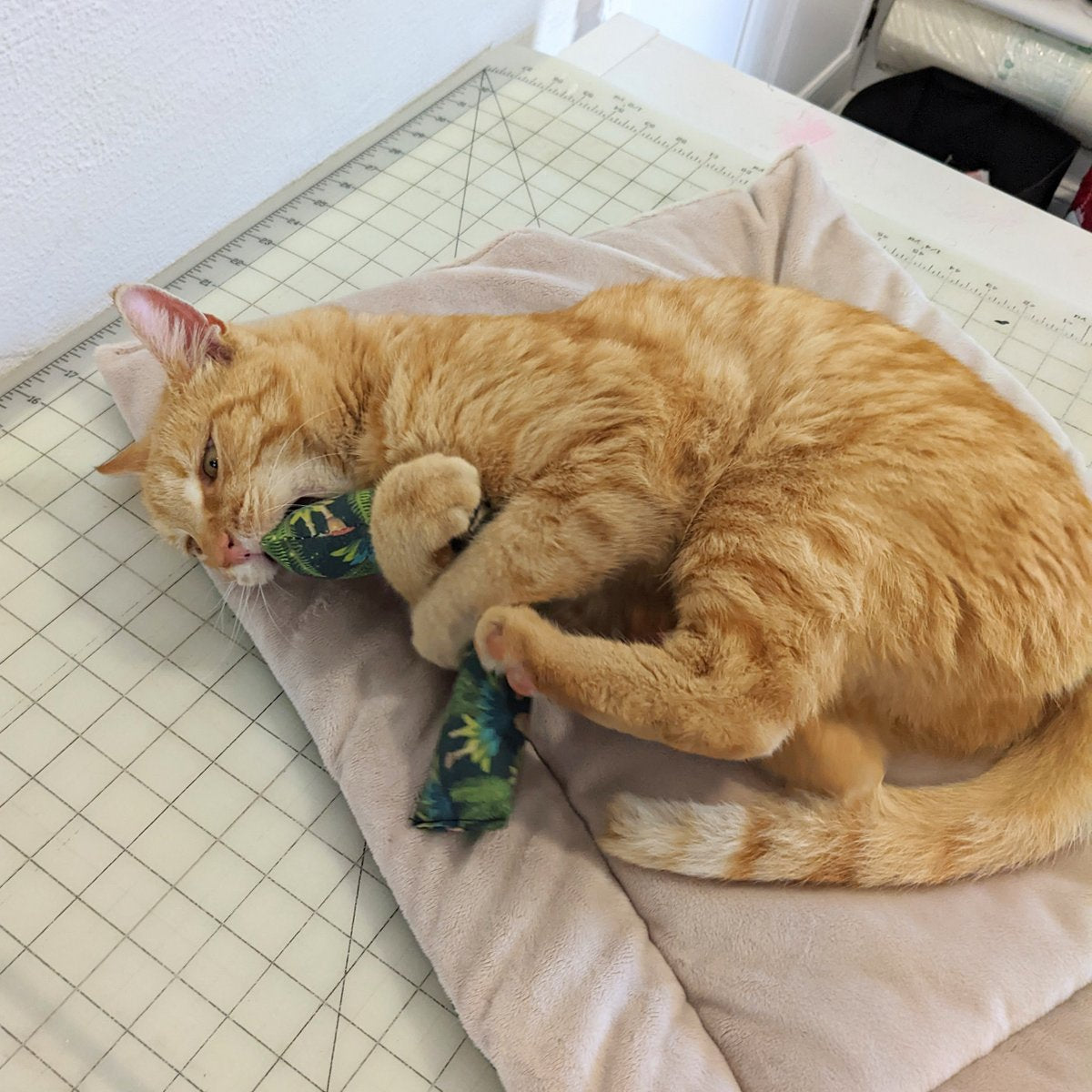 The Catnip Mat – Janery